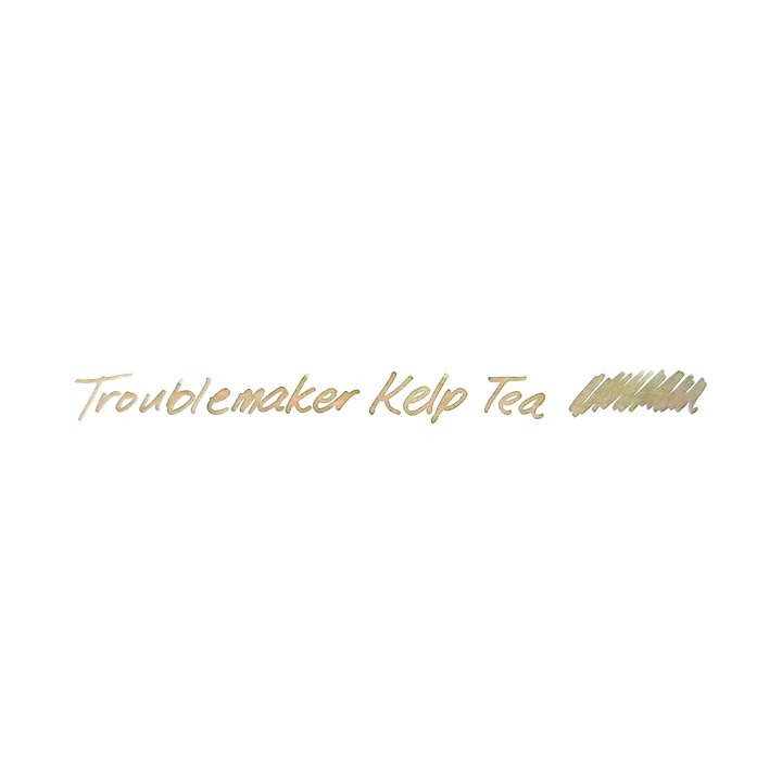 Troublemaker Inks Shading Kelp Tea 60ml Ink Bottle - 2024965326 ...